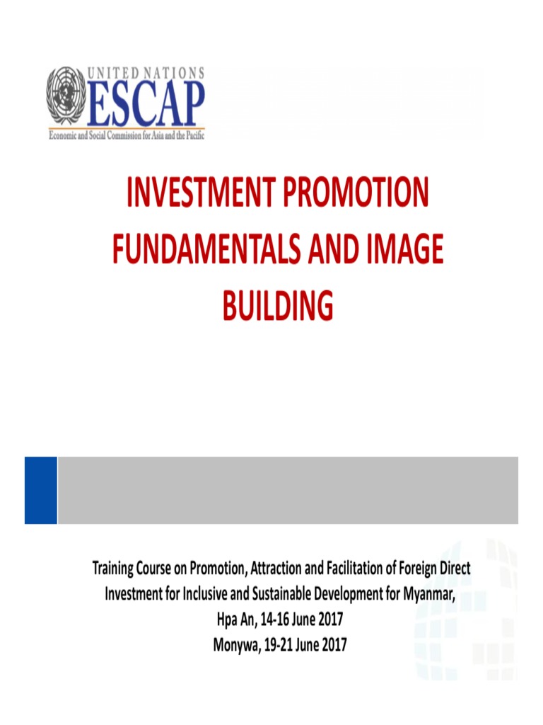 Investment Promotion Strategies for FDI | PDF | Economic Development ...