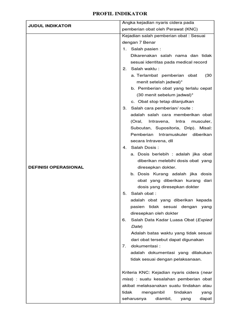 Profil Indikator Keperawatan | PDF