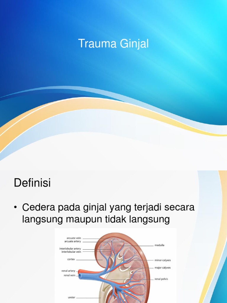 Klasifikasi dan Tatalaksana Trauma Ginjal | PDF