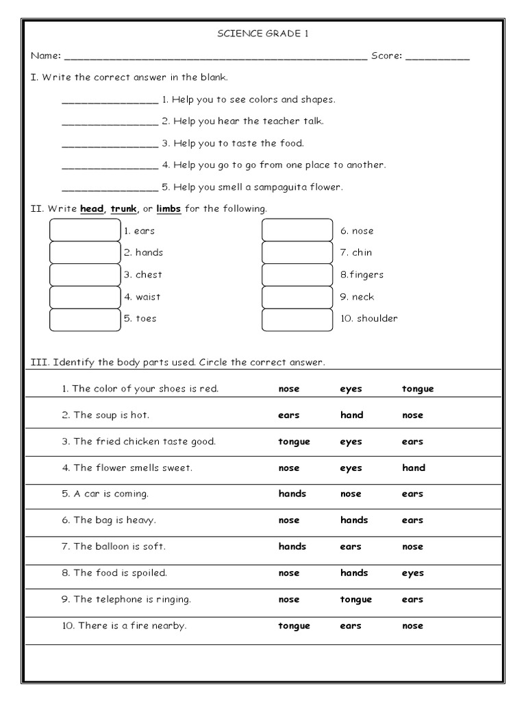 Science Grade 1 | PDF | Nature