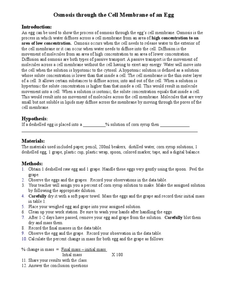 Egg Lab | PDF | Osmosis | Applied And Interdisciplinary Physics