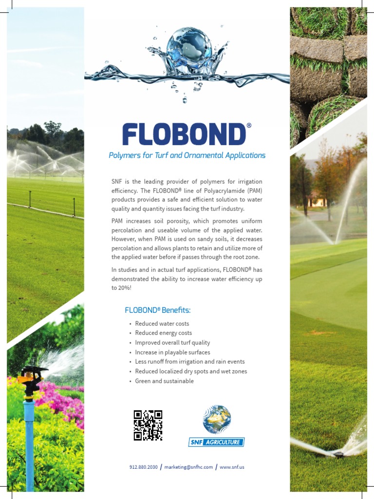 FloBond Flyer PRINT Full Color Globe | PDF