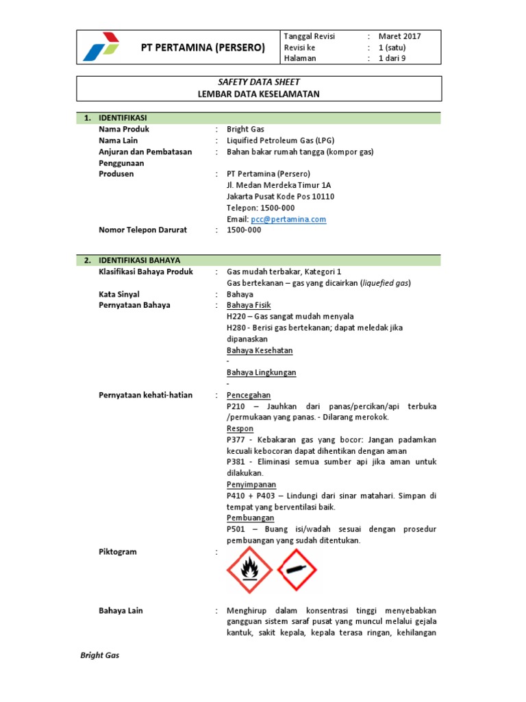 Bright Gas Safety Data Sheet | PDF