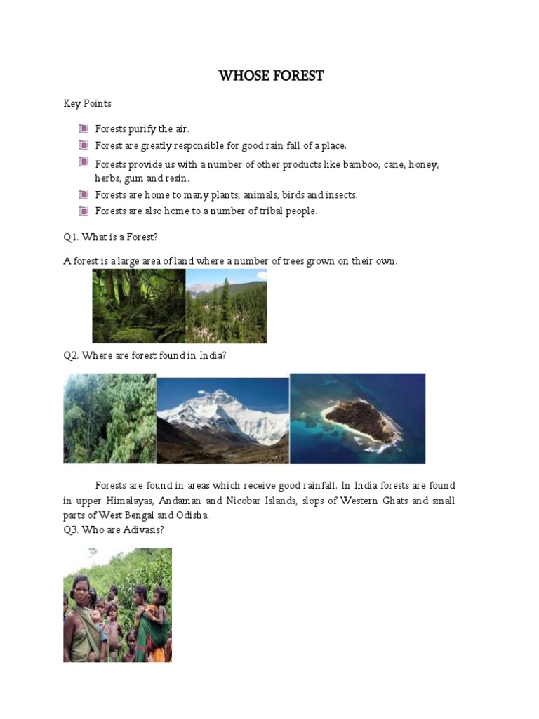 Class5 Evs Whose Forest | PDF | Trees | Plants