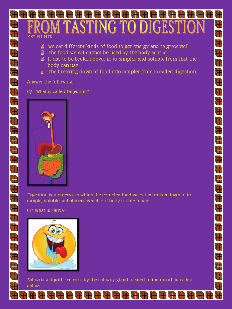 From Tasting To Digest | PDF | Digestion | Taste