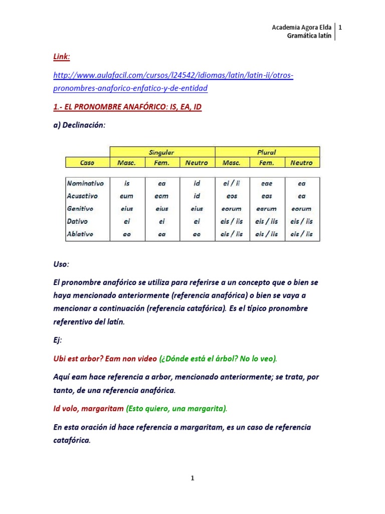 Gramática del Latín: Pronombres y Verbos | PDF | Verbo | latín