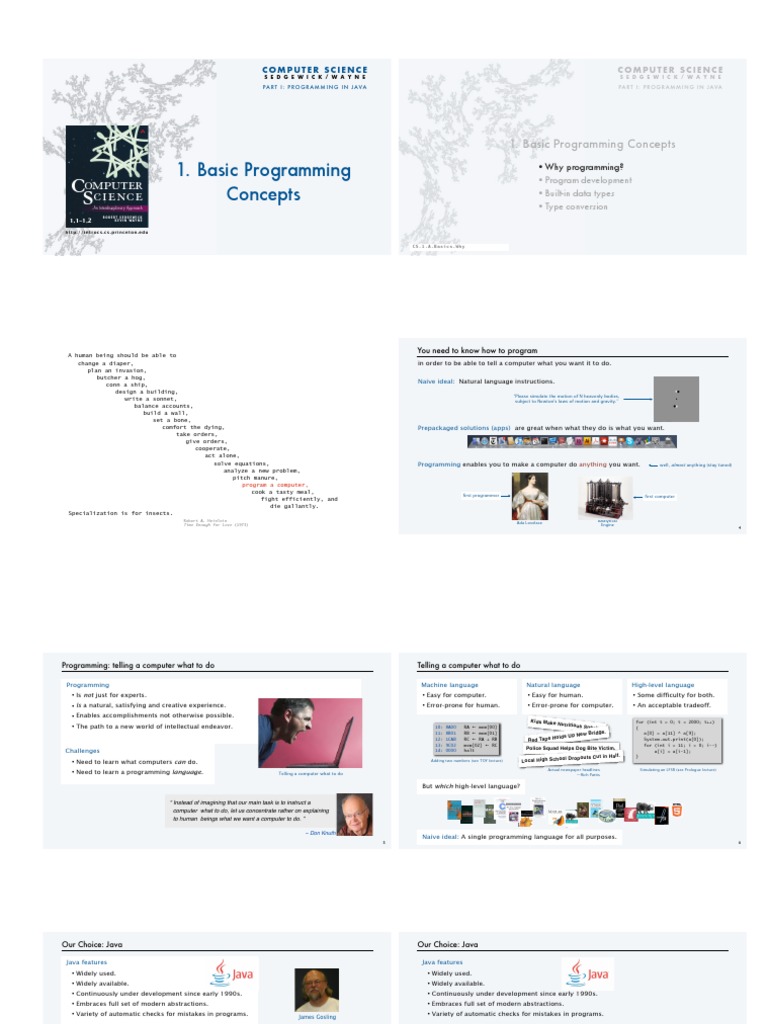 Basic Programming Concepts Omputer Cience Pdf Computer Terminal Computer Program