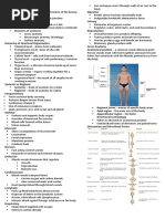 Spine Conditioning Program | PDF | Orthopedic Surgery | Abdomen