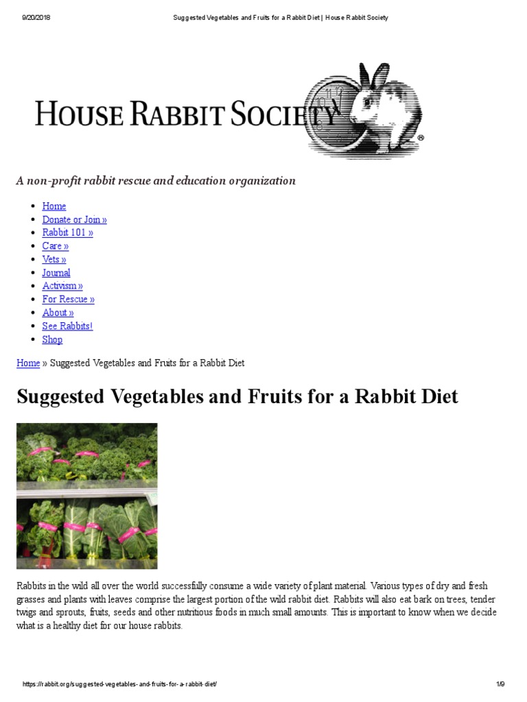 Suggested Vegetables and Fruits For A Rabbit Diet - House Rabbit ...
