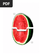 Wipsi | PDF | Inteligencia | Teoría