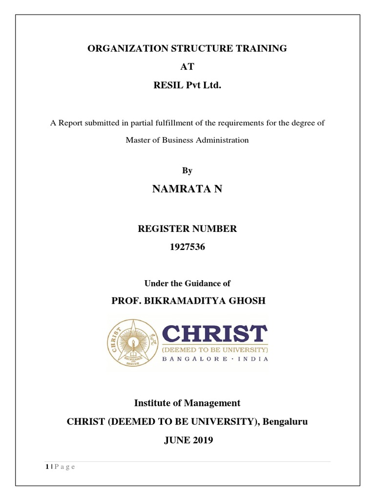 Report - Resil | PDF | New Product Development | Employment