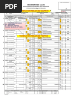 Nuevo Formato HIS | PDF | Medicina | Cuidado de la salud