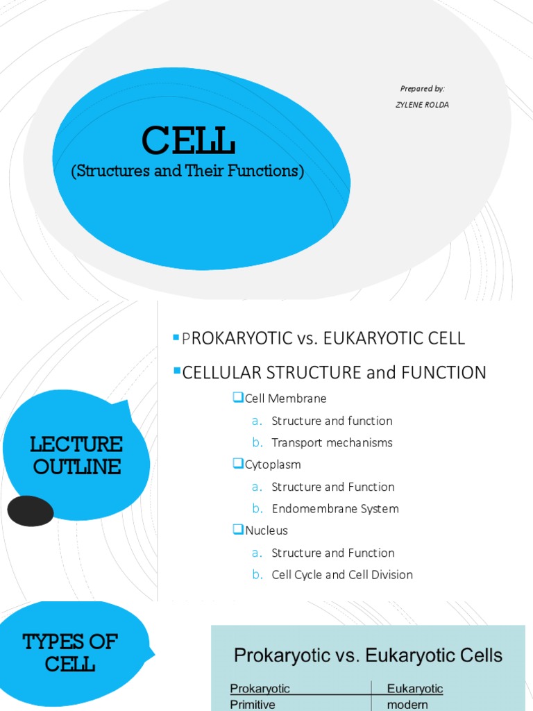 CELL Detailed PDF | PDF | Lipid Bilayer | Endoplasmic Reticulum
