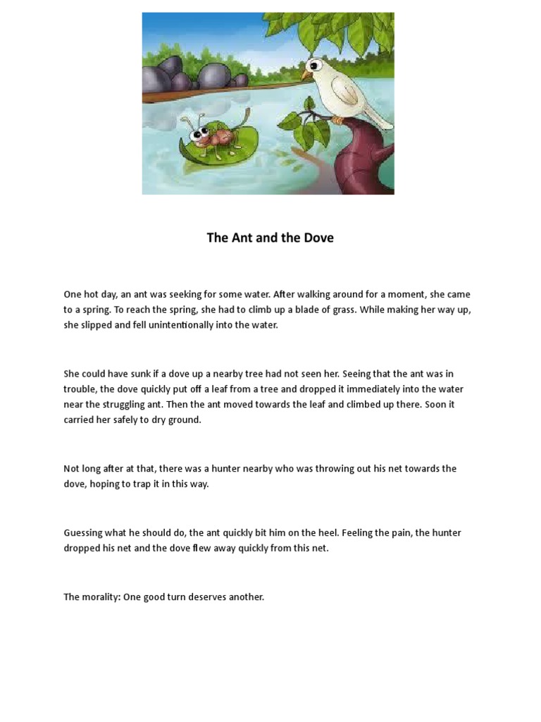 The Ant and The | PDF