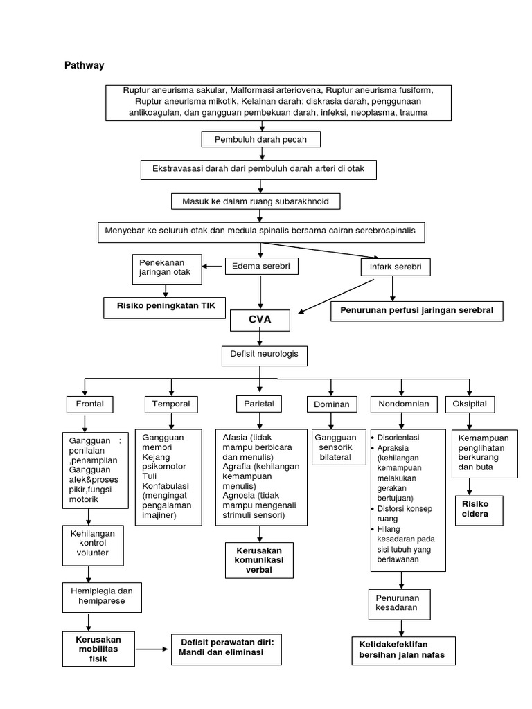 Pathway Cva Ich | PDF