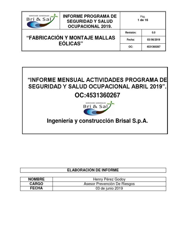 INFORME PROGRAMA DE SEGURIDAD Y SALUD OCUPACIONAL MAYO 2019.pdf