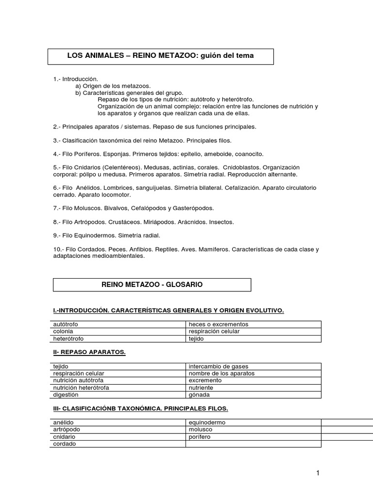 Animales - Metazoos | PDF | Sangre | Esponja