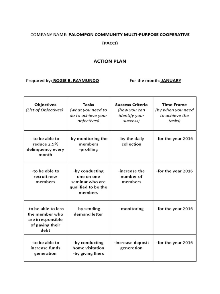 (Pacci) : Action Plan | PDF | Business