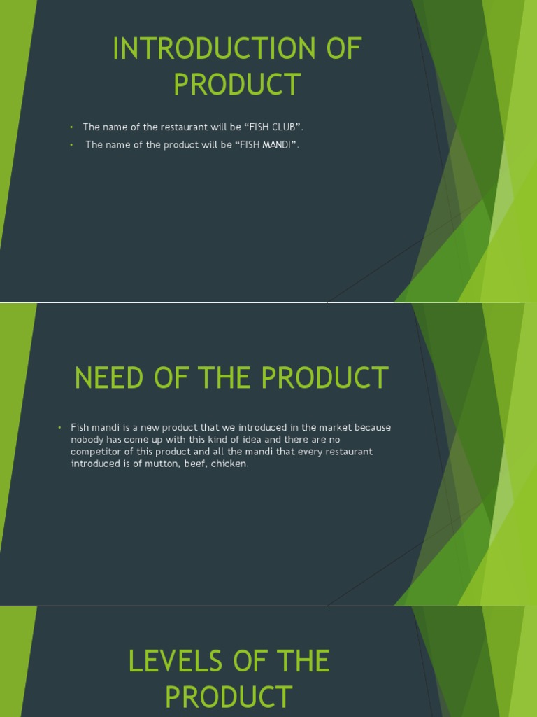 Introduction of Product | PDF
