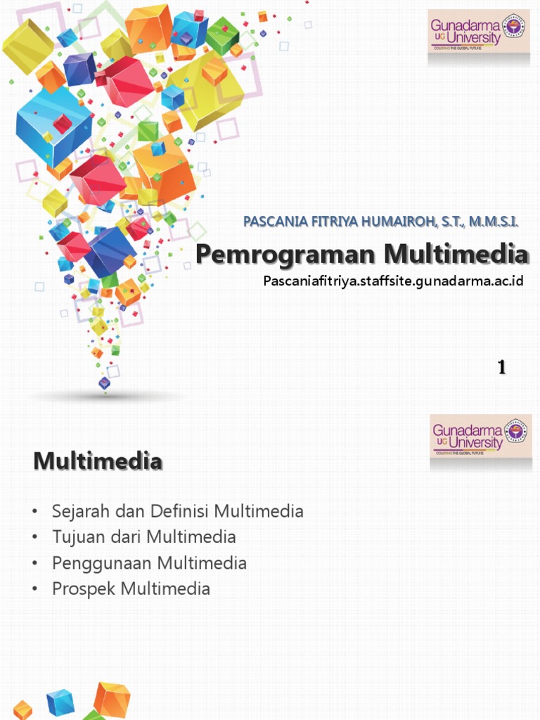 Panduan Lengkap Pemrograman Multimedia | PDF