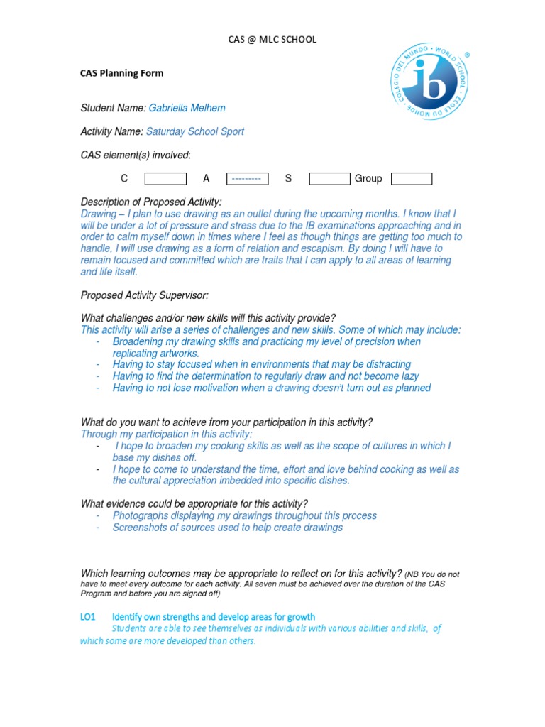 Cas Planning Form - Drawing | PDF | Behavioural Sciences | Behavior ...