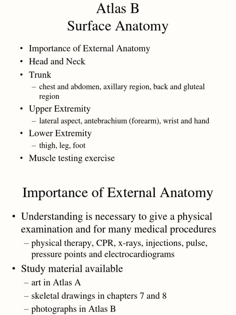 Surface Anatomy Overview and Testing | PDF