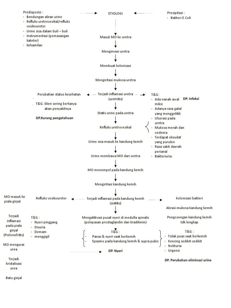 Pathway Isk (Infeksi Saluran Kemih) 5 | PDF