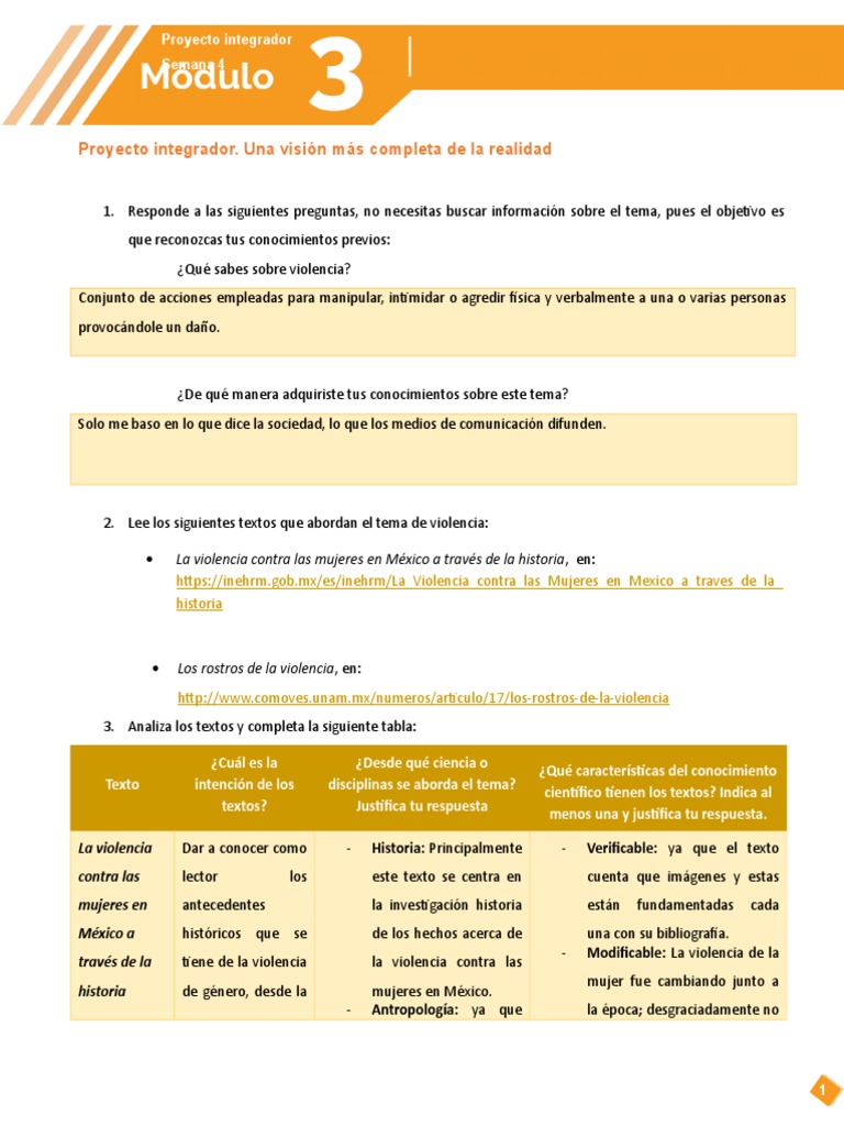 Proyecto Integrador Modulo 3 | PDF | La violencia contra las mujeres | Mujer