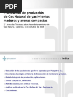 Proyecto SGO Minera Spence | PDF | Minería | Cobre