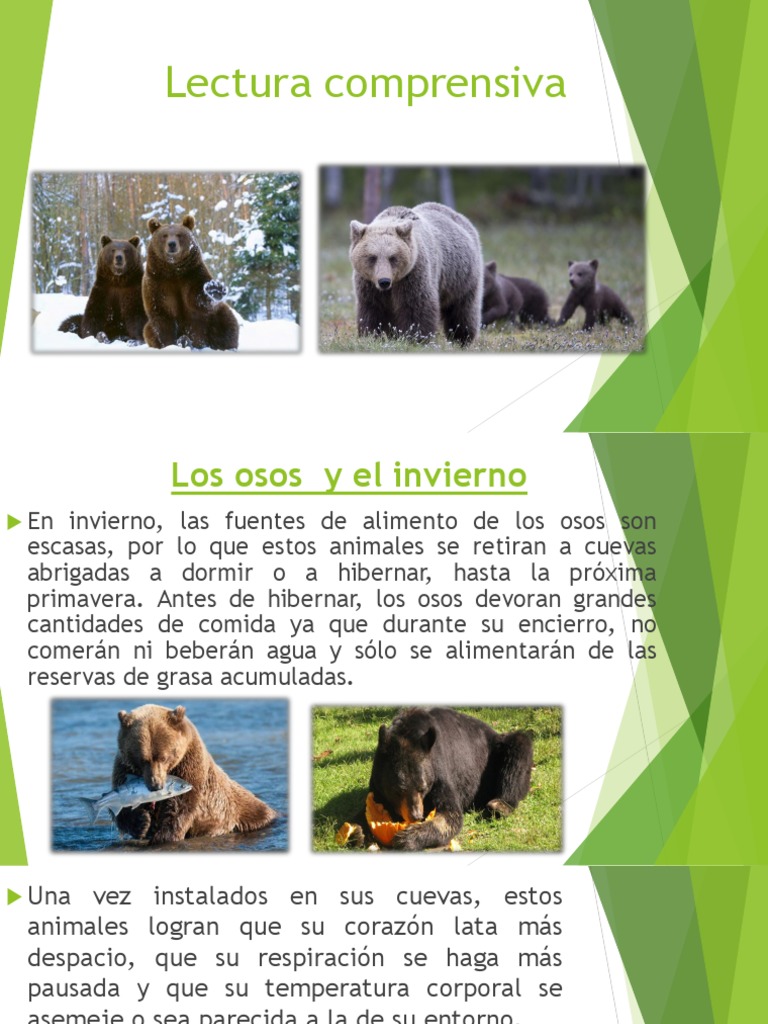 Lectura Comprensiva | PDF