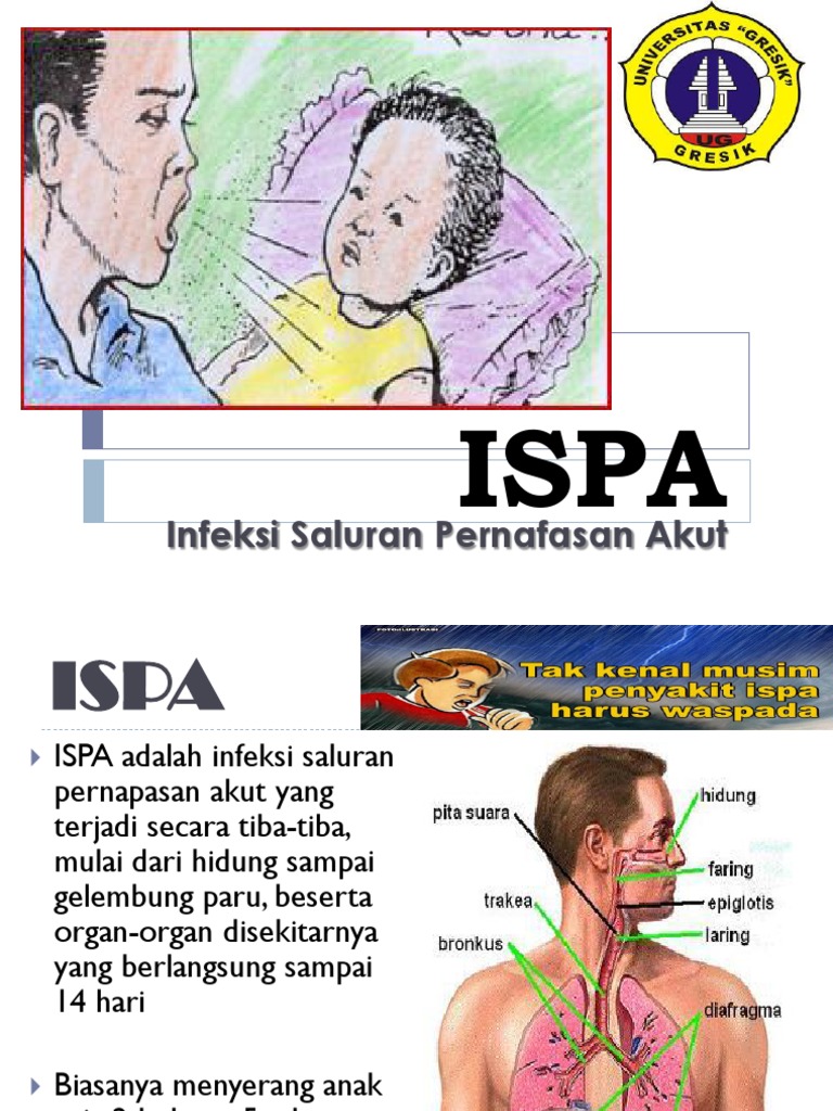 Panduan Lengkap ISPA pada Anak | PDF | Kesehatan Holistik