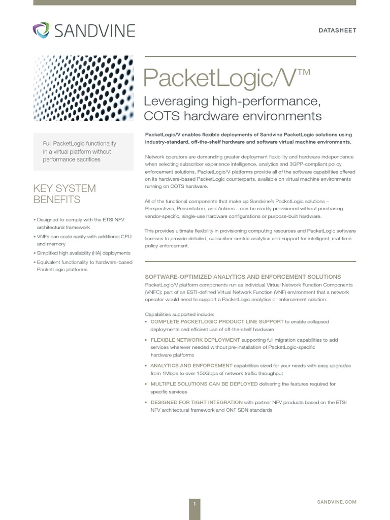 Virtual Sandvine | PDF | Computing | Areas Of Computer Science