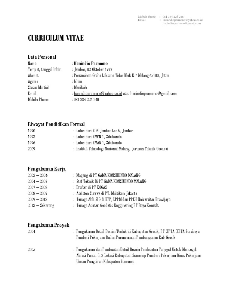 CV Hanindio Pramono | PDF | Sains & Matematika