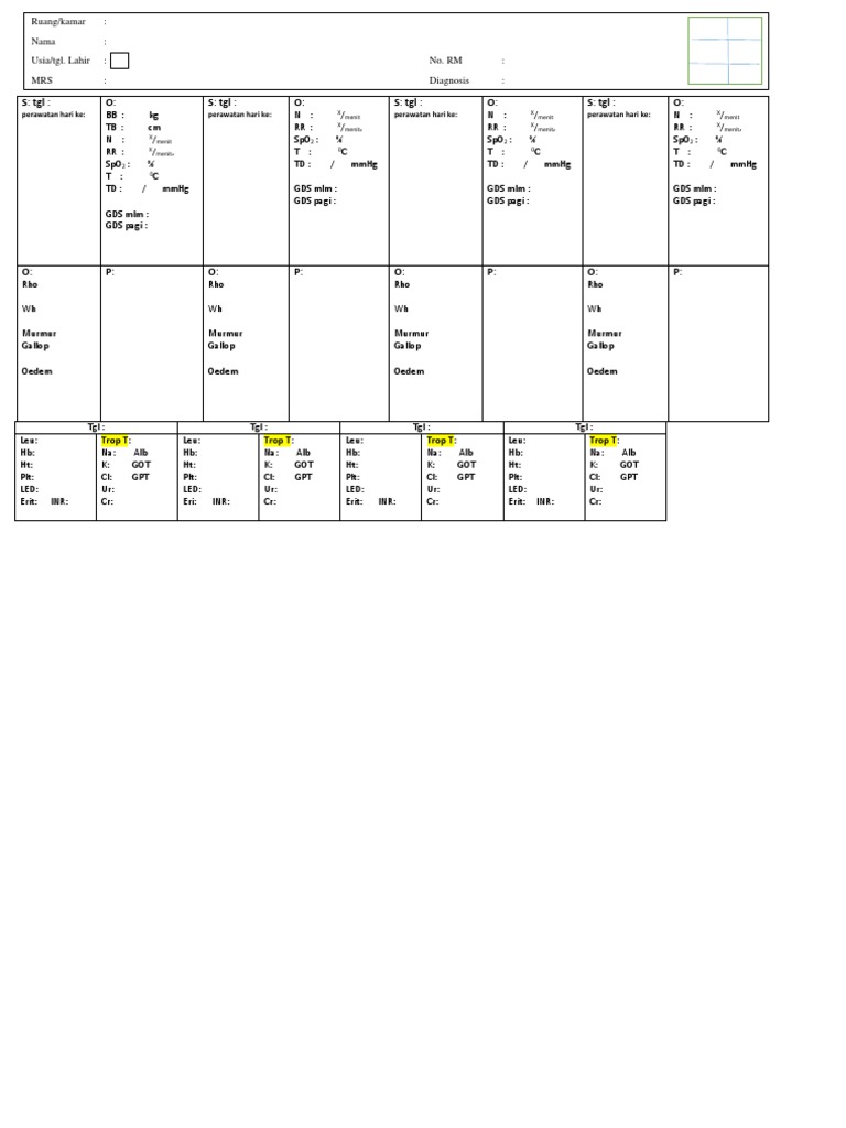 Patient Medical Record Sheet | PDF