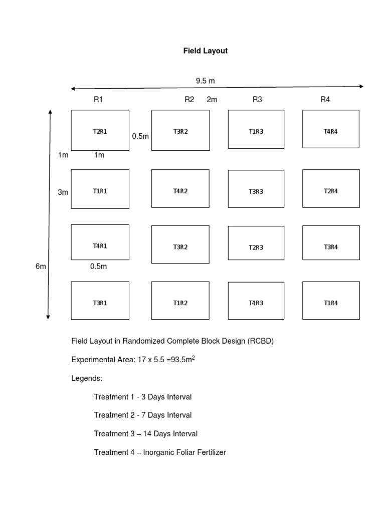 RCBD Field Layout for Treatments | PDF