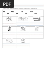 Cat Bat Mat Rat Hat Pat Catch Fan Van Can Man Pan | PDF