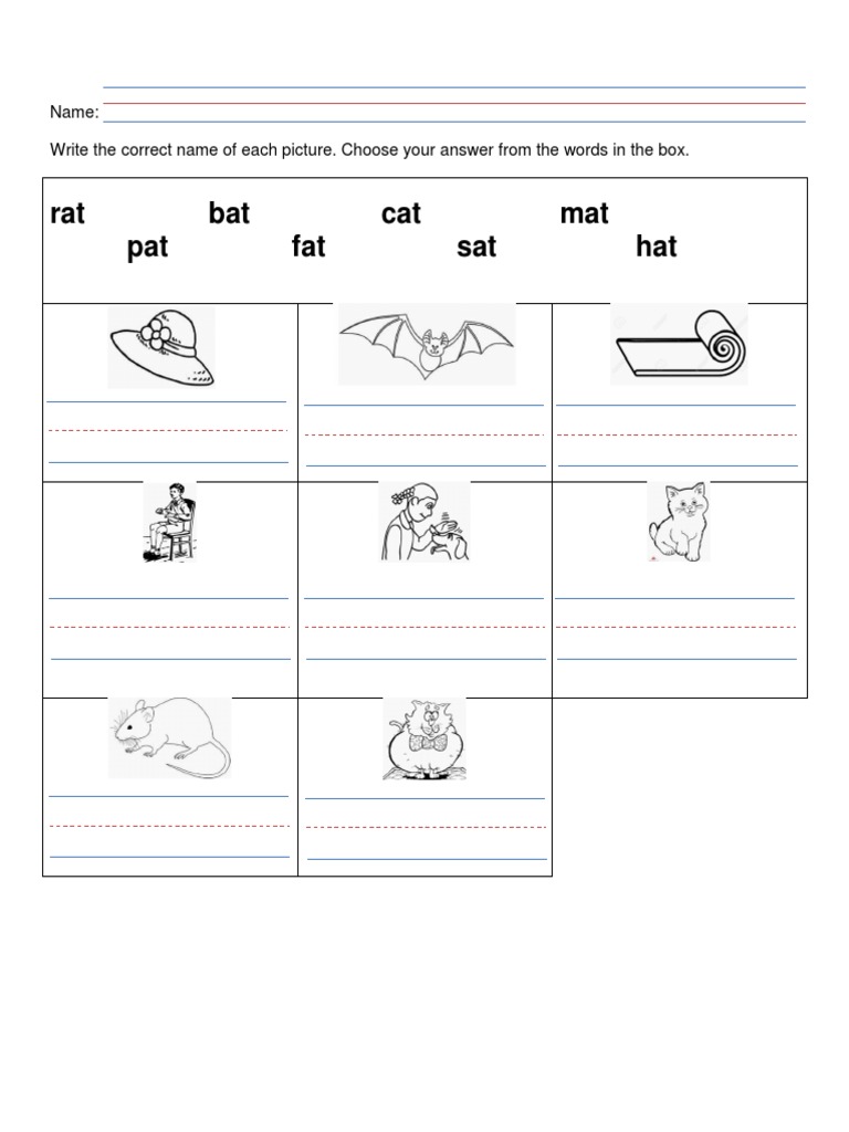Rat Bat Cat Mat Pat Fat Sat Hat | PDF