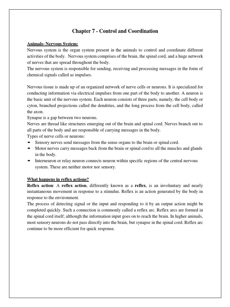 Control Coordination Notes | PDF | Neuron | Nervous System