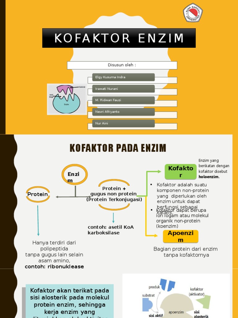 Fungsi dan Contoh Kofaktor Enzim | PDF