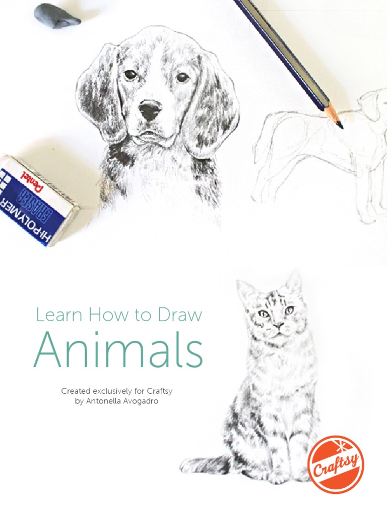 Learn How To Draw Animals Created Exclus | PDF | Drawing