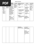 Nursing Care Plan - Uti | PDF | Urinary Tract Infection | Urinary System