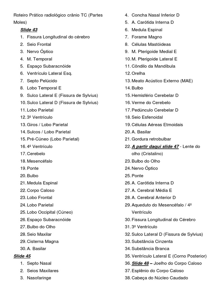 Estruturas Crânio TC: Partes Moles | PDF | Cerebelo | Anatomia dos primatas