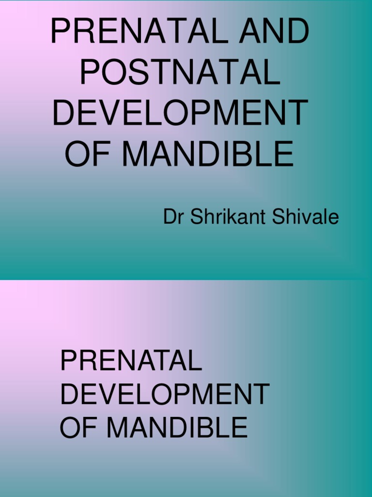 4.prenatal and Postnatal Development of Mandible | PDF | Anatomy ...