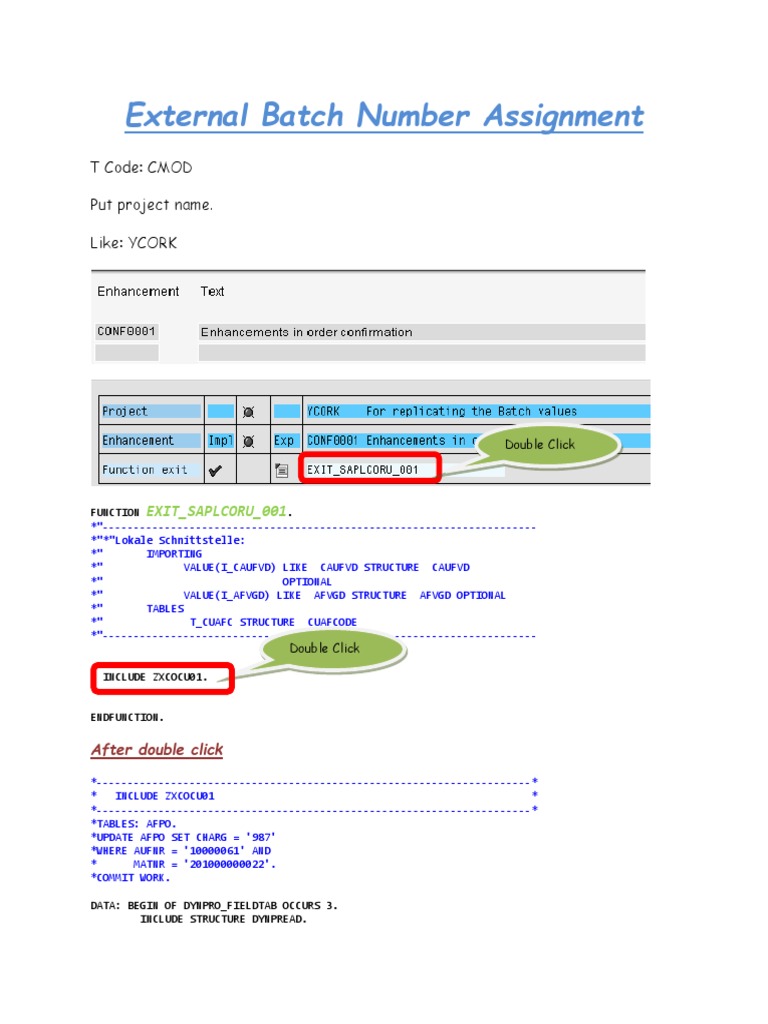 Batch Number Assignment Update | PDF | Input/Output | Software