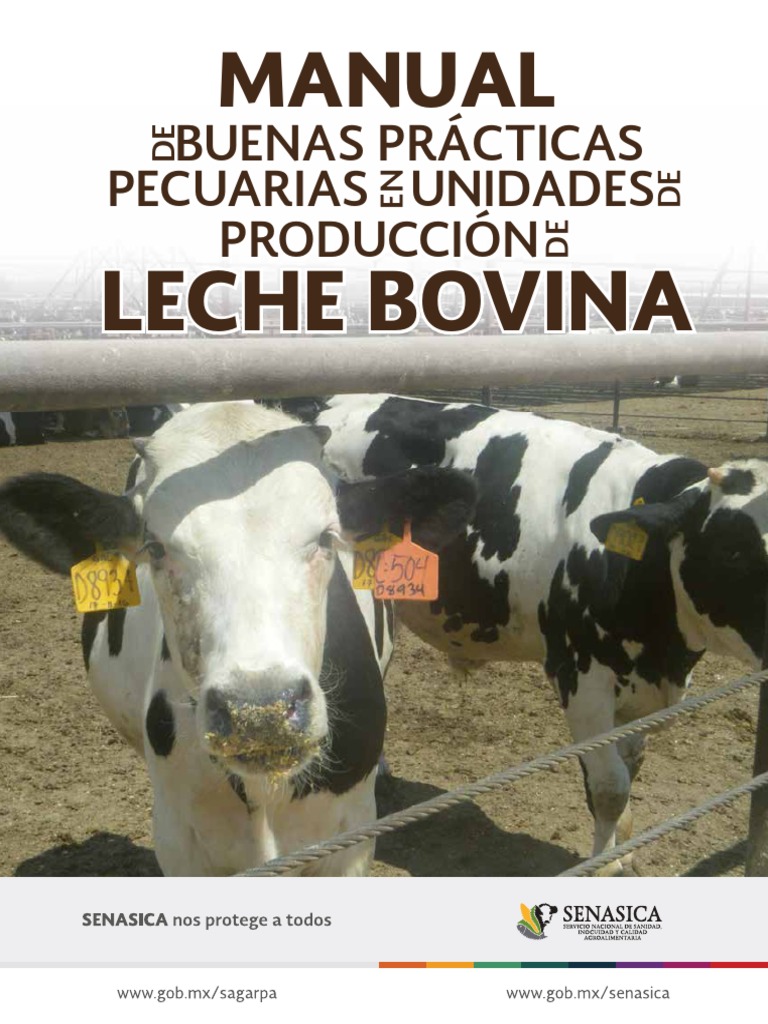 Manual de Buenas PR Cticas Pecuarias en Unidades de Producci N de Leche PDF | PDF | Leche ...