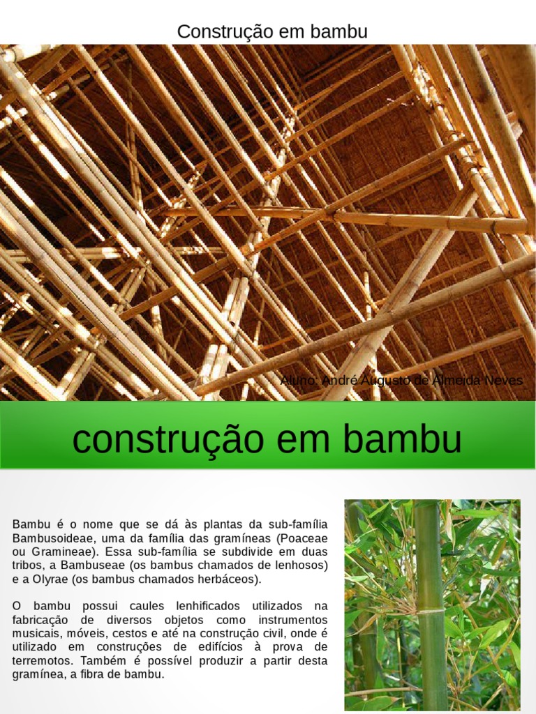Bambu | PDF