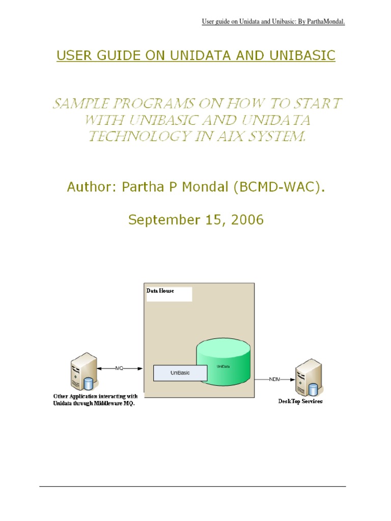 A Programmer Guid On Unidata and Unibasic | PDF | Array Data Structure | Control Flow