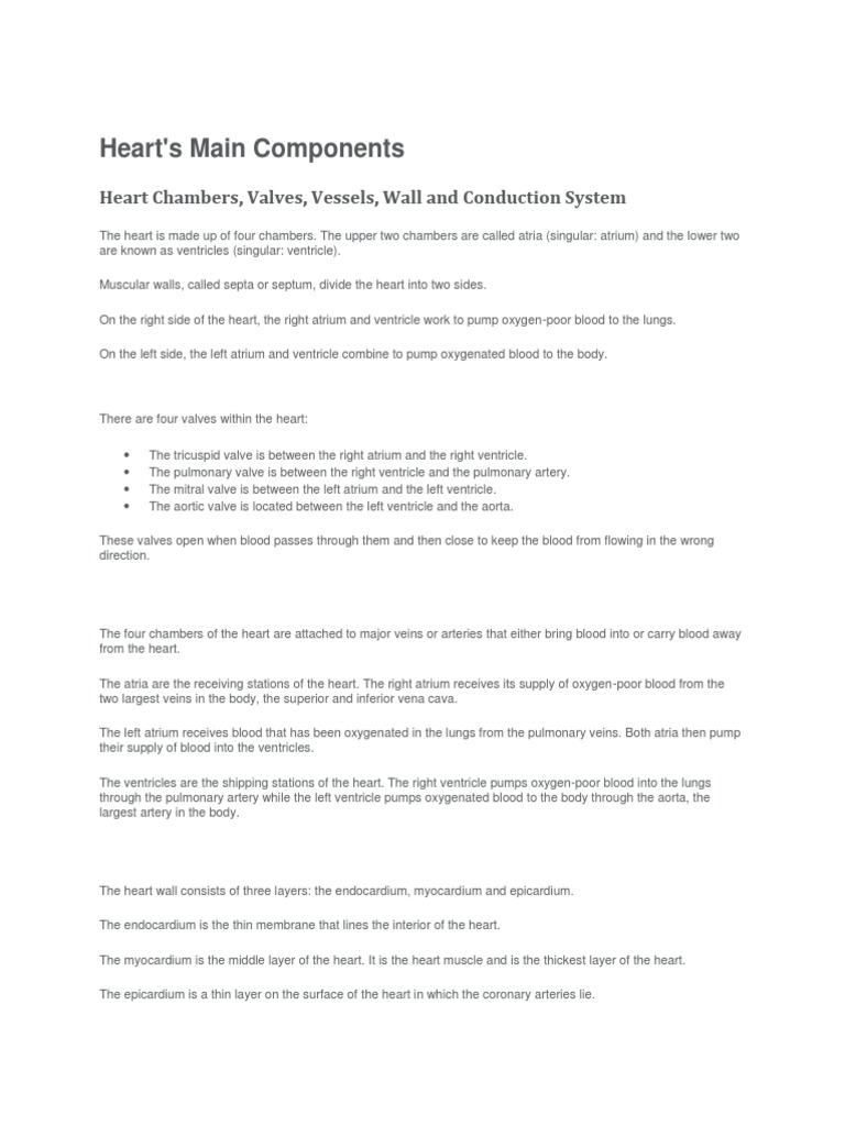 Human Heart Science | Download Free PDF | Heart Valve | Heart