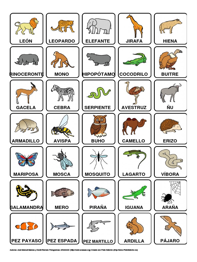 TEACCH Animales Salvajes | PDF