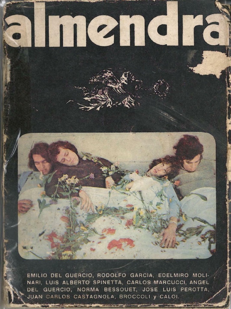 Libro de Almendra | PDF